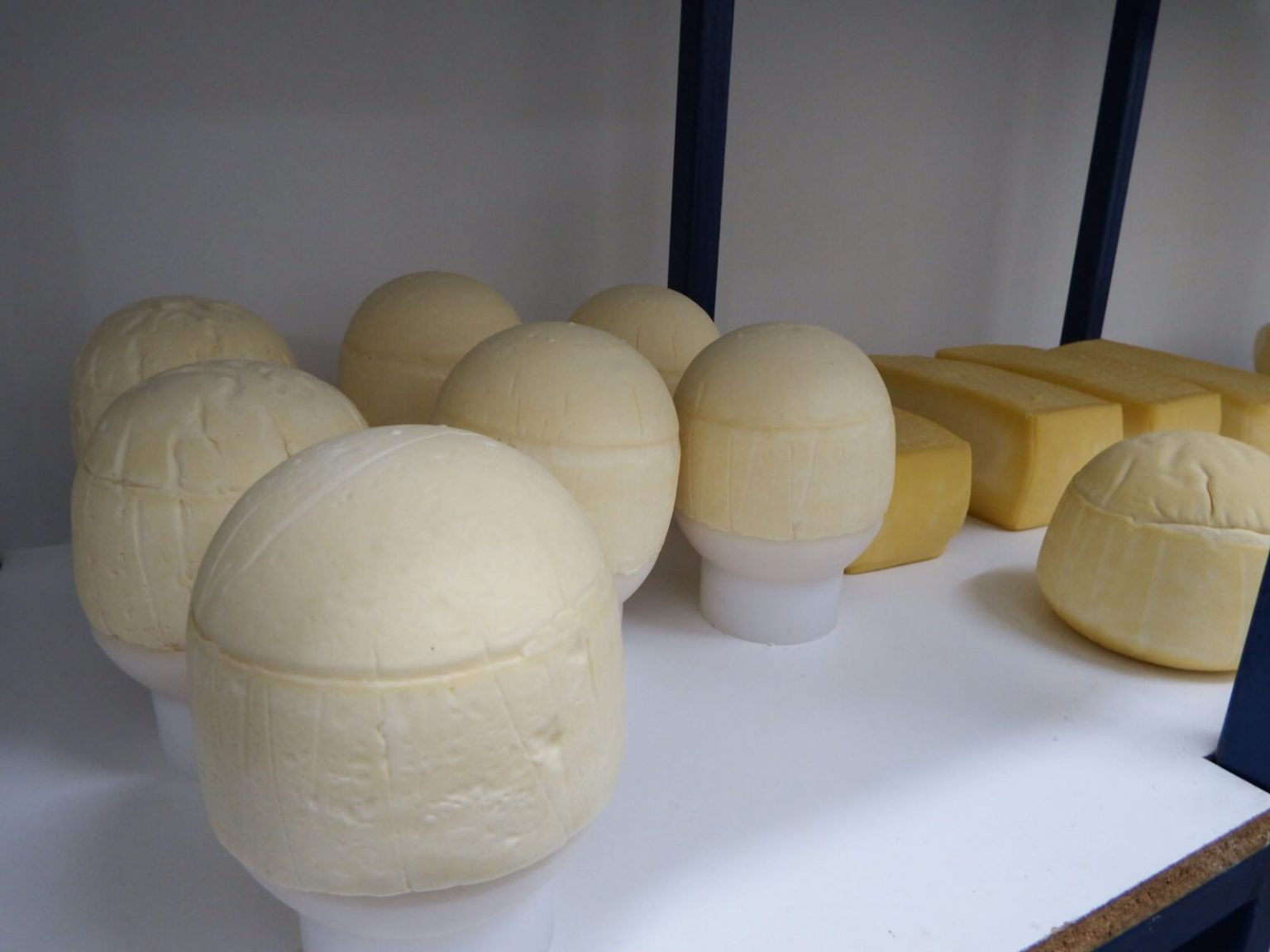 Características de leche para hacer un buen queso: una mirada desde la ...