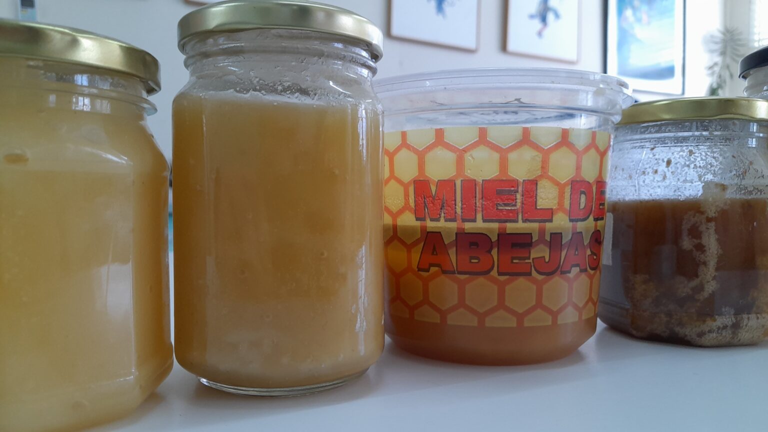¿Cómo identificar una buena miel? – Facultad de Ciencias Agrarias y ...